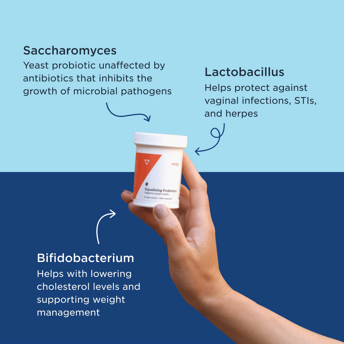 Equalizing Probiotics | Wisp